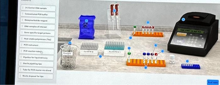 Solved Texts Control Dna Sample Concentrated Pcr Buffer Deoxynucleotide Reagent Dna