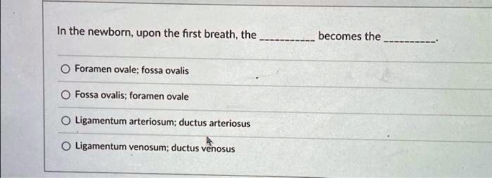 In the newborn, upon the first breath, the foramen ovale becomes the ...