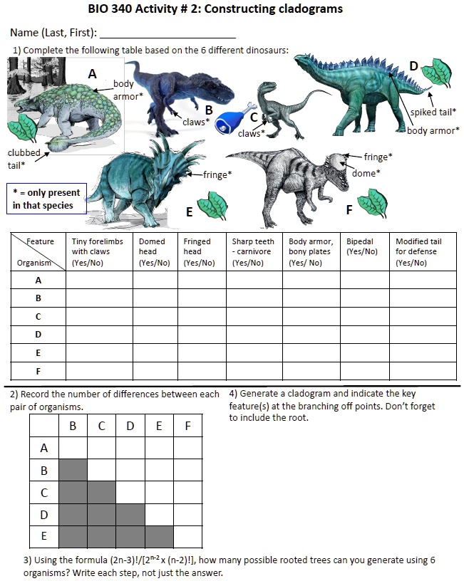 [GET ANSWER] bio 340 activity 2 constructing cladograms name last first ...