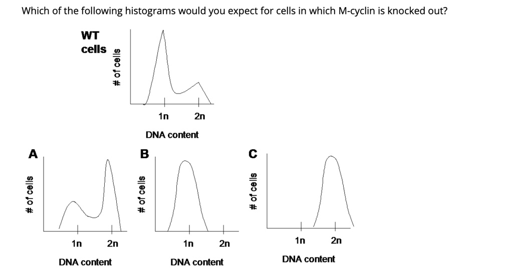 which of the following histograms would you expect for cells in which m ...