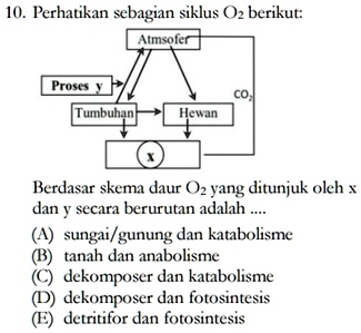 SOLVED: berdasar skema daur O2 yang ditunjukkan oleh x dan y secara ...