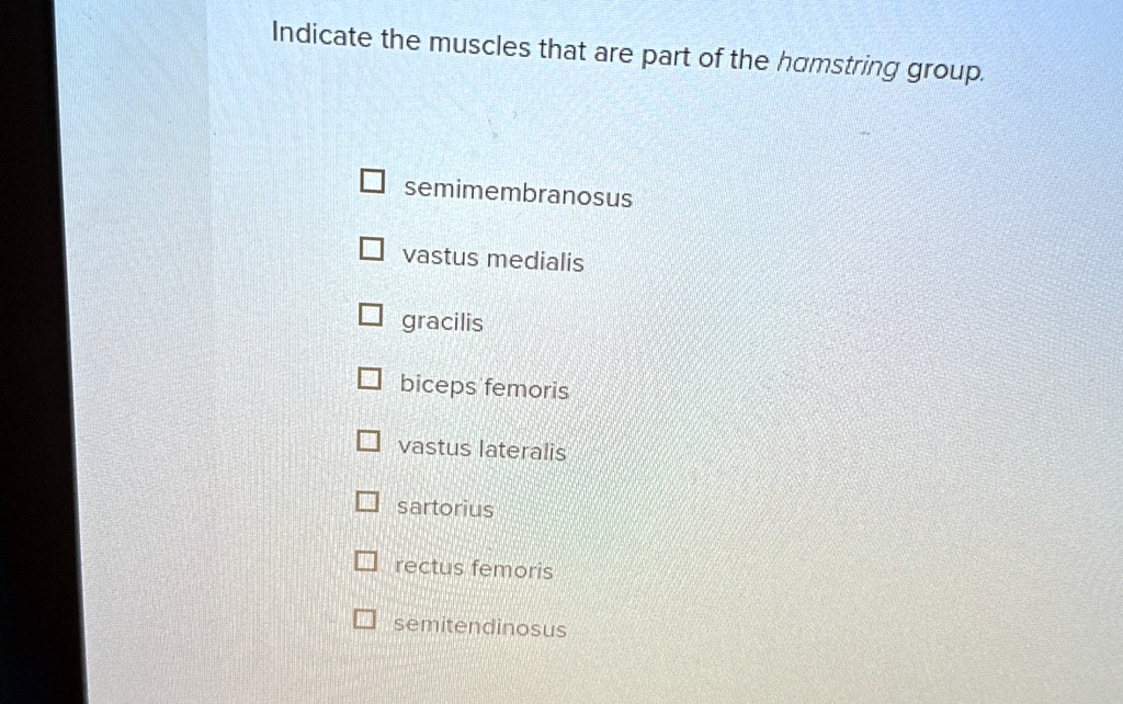 indicate the muscles that are part of the hamstring group ...