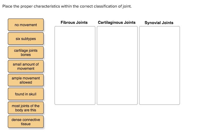 Place the proper characteristics within the correct classification of ...