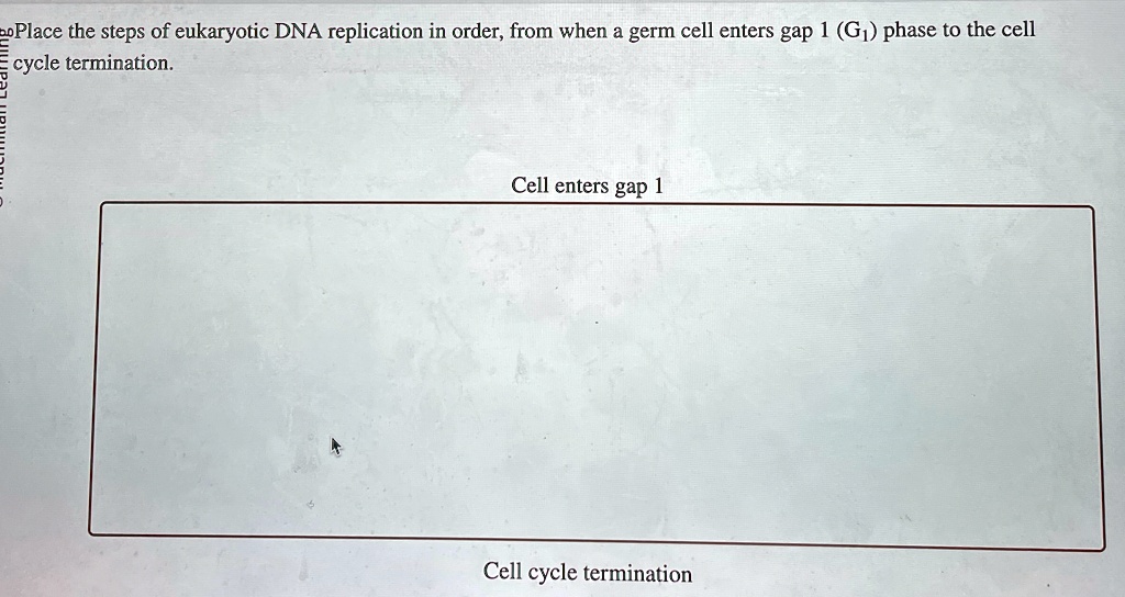 place the steps of eukaryotic dna replication in order from when a germ ...