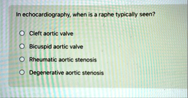 in echocardiography when is a raphe typically seen cleft aortic valve ...