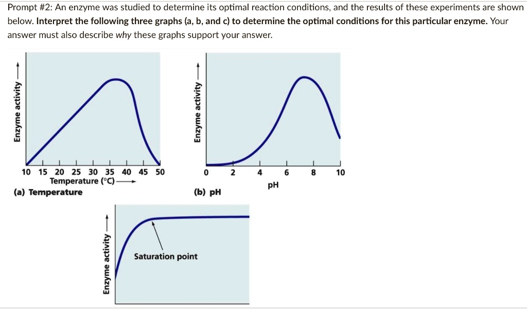 SOLVED: The last graph x axis is substrate level Prompt #2: An enzyme ...