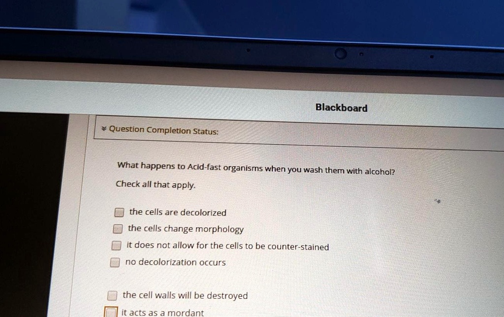blackboard question completion status what happens to acid fast ...