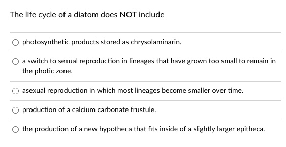 The Life Cycle Of A Diatom Does Not Include Photosynthetic Products 7685
