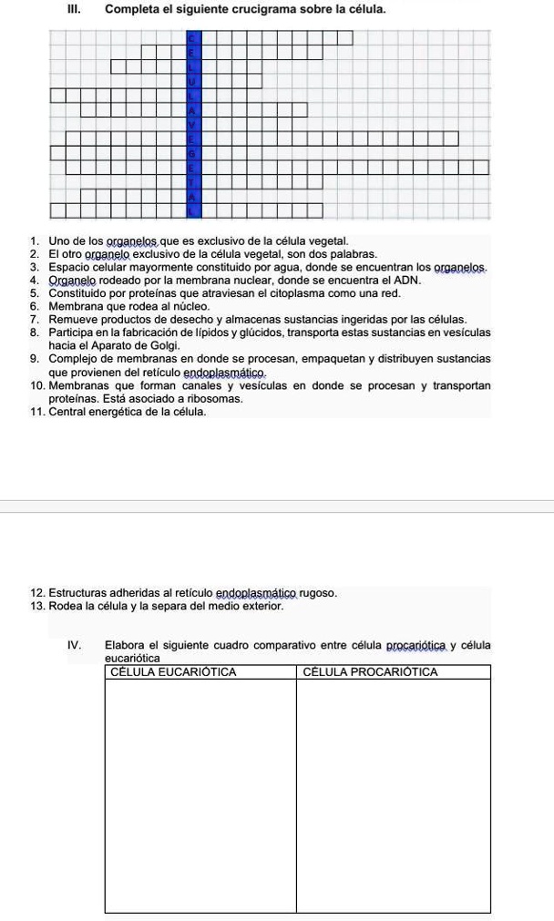 SOLVED: Completa el siguiente crucigrama spbre la célula ayuda porfavor Completa el siguiente ...