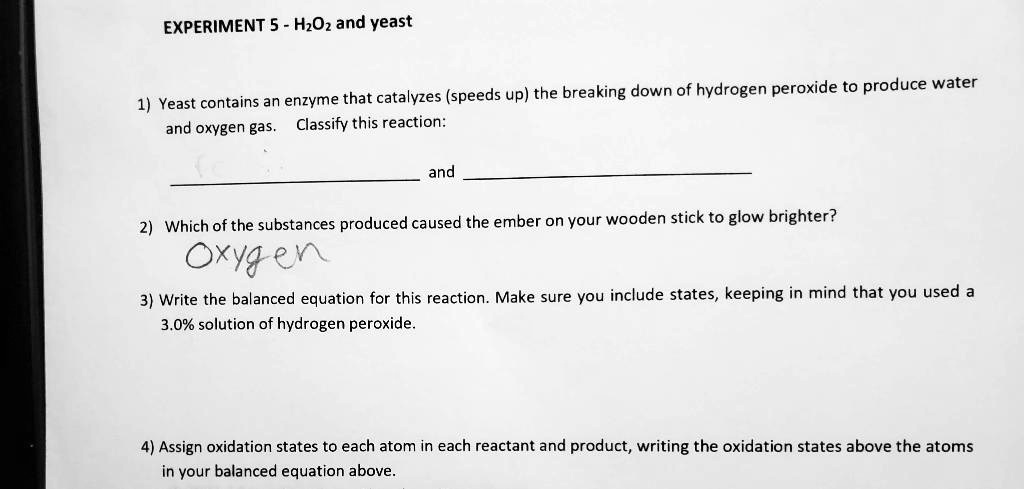 SOLVED: Experiment 5: H2O2 and yeast Kingdom of hydrogen peroxide to ...