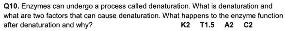 Solved Q10 Enzymes Can Undergo A Process Called Denaturation What Is
