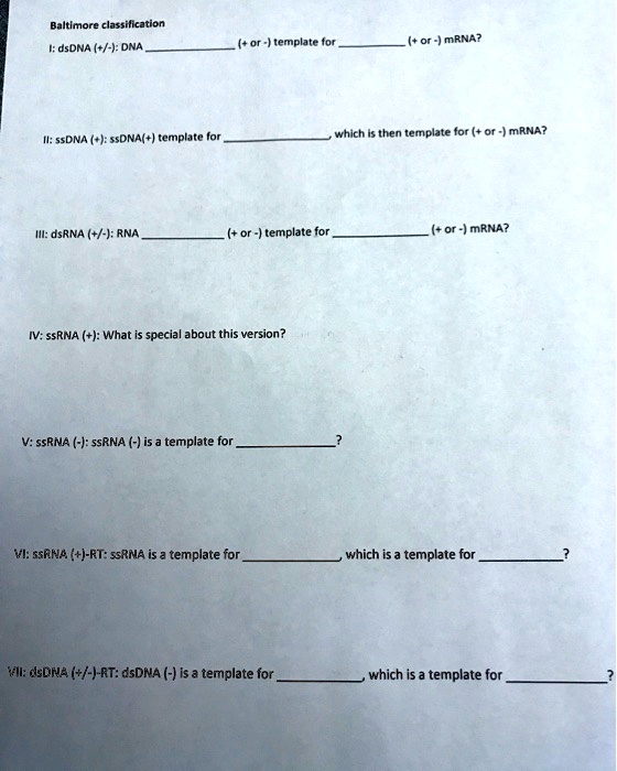 baltimore classilication dsdna 1 dna template for mrna il ssdna j ssdna ...