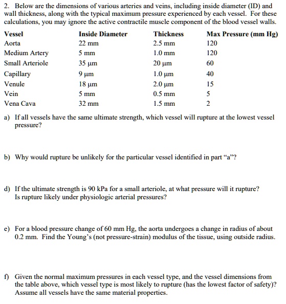 2. Below are the dimensions of various arteries and veins, including ...