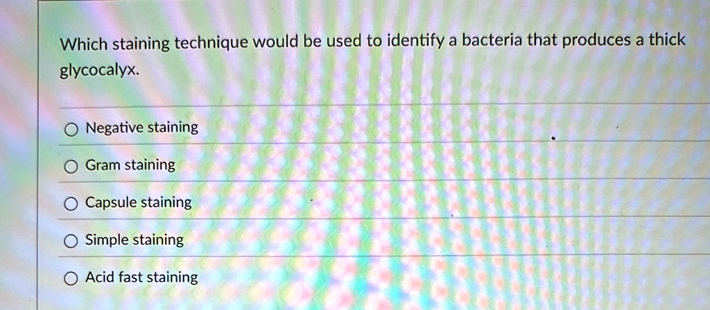 which staining technique would be used to identify a bacteria that ... which staining technique would be used to identify a bacteria that ...