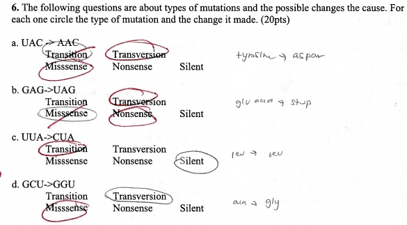 Please explain a-d? 6. The following questions are about types of ...