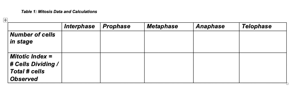 SOLVED: Table 1: Mitosis Data and Calculations Interphase Prophase ...