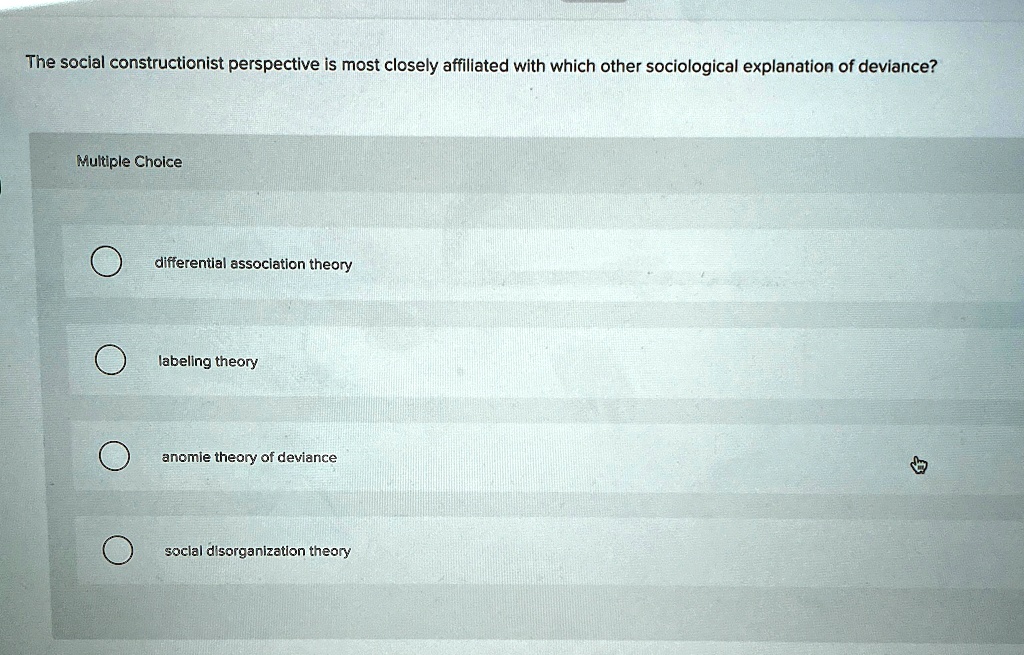 the social constructionist perspective is most closely affiliated with ...