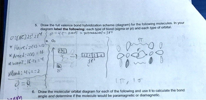 SOLVED: Draw the full valence bond hybridization scheme (diagram) for ... SOLVED: Draw the full valence bond hybridization scheme (diagram) for ...