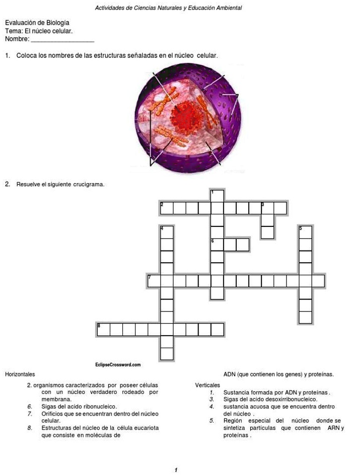 SOLVED: solo necesito el crucigrama Activiaades @e Ciencias Naturales ...