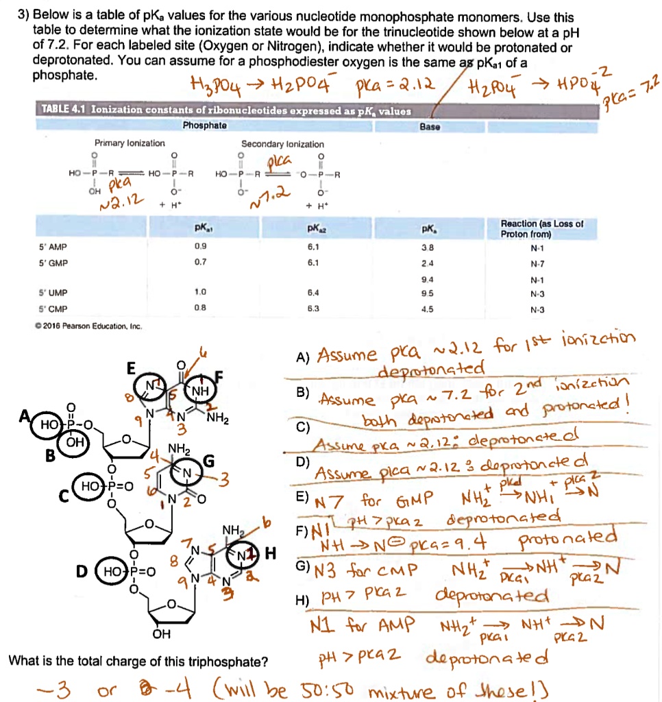 SOLVED: 3) Below is a table of pKa values for the various nucleotide monophosphate monomers. Use ...