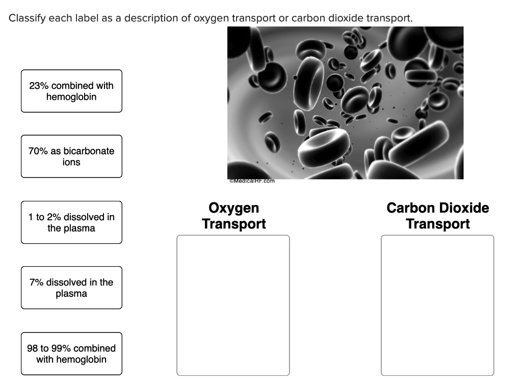 Classify each label as a description of oxygen transport or...