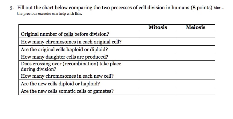 3. Fill out the chart below comparing the two processes of cell ...
