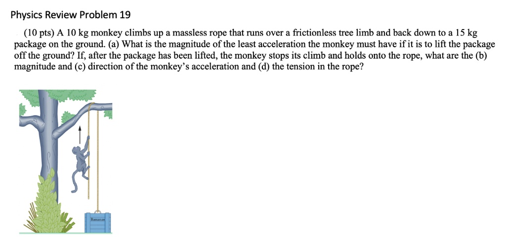 SOLVED: Physics Review Problem 19 (10 pts) A 10 kg monkey climbs up a ...