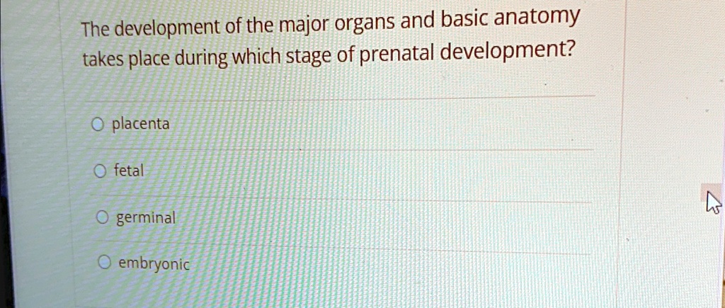 The development of the major organs and basic anatomy takes place ...