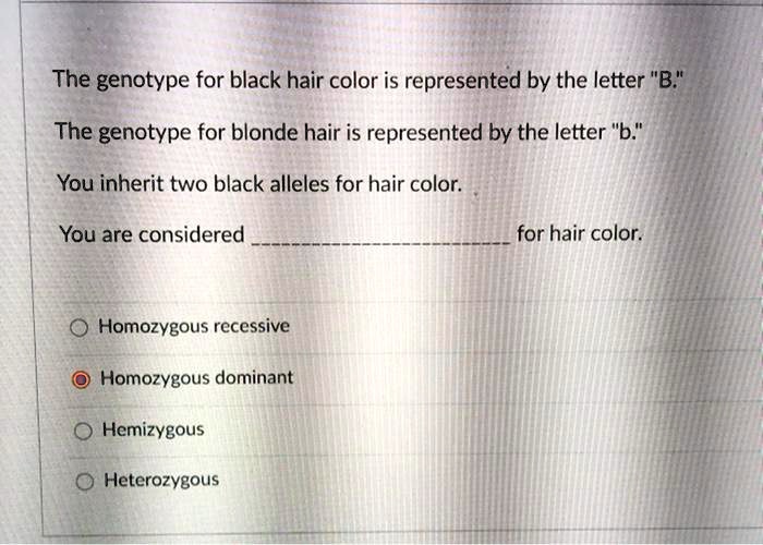 the genotype for black hair color is represented by the letter b the ...