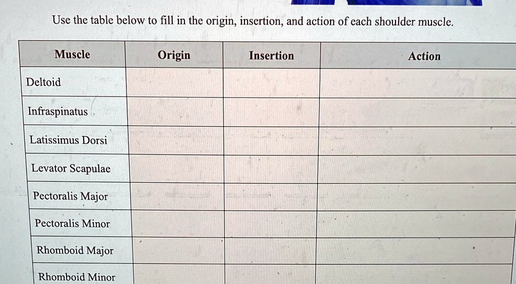 SOLVED: Fill in table please Use the table below to fill in the origin ...