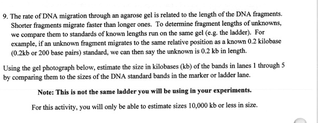 SOLVED: 9. The rate of DNA migration through an agarose gel is related ...