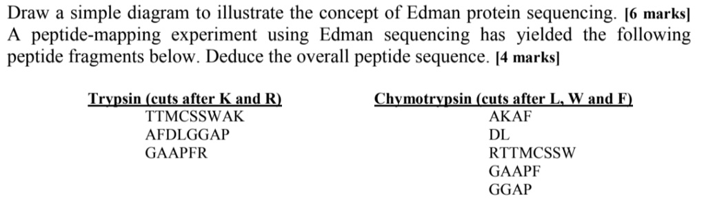 SOLVED: Draw a simple diagram to illustrate the concept of Edman ...