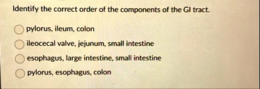 identify the correct order of the components of the gl tract pylorus ...