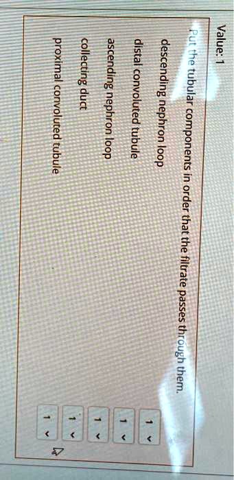 Value: 1 Put the tubular components in order that the filtrate passes ...