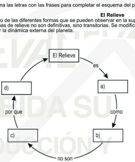 SOLVED: segun el texto,relaciona las letras con las frases para ...