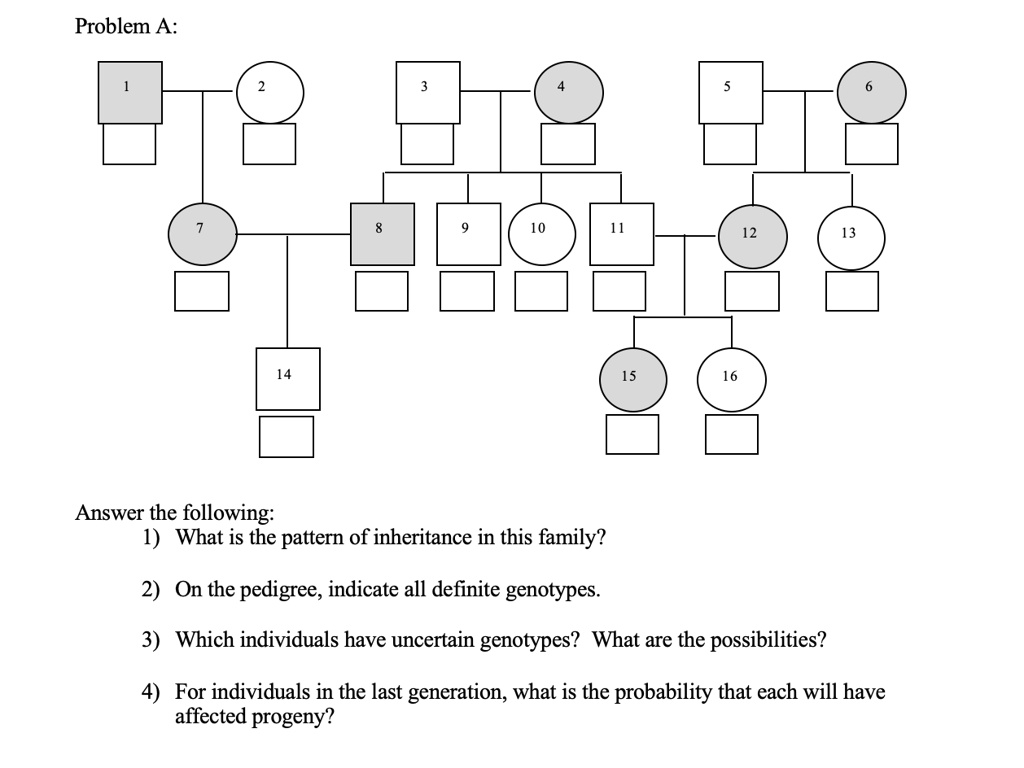 problem a answer the following 1 what is the pattern of inheritance in this family 2 on the ...
