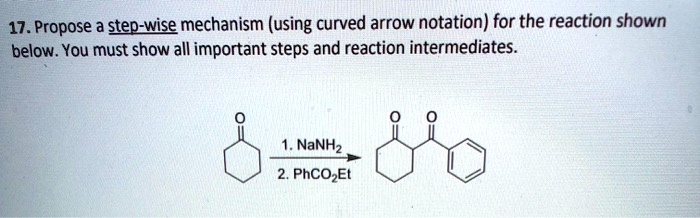 SOLVED: 17. Propose a step-wise mechanism (using curved arrow notation) for the reaction shown ...