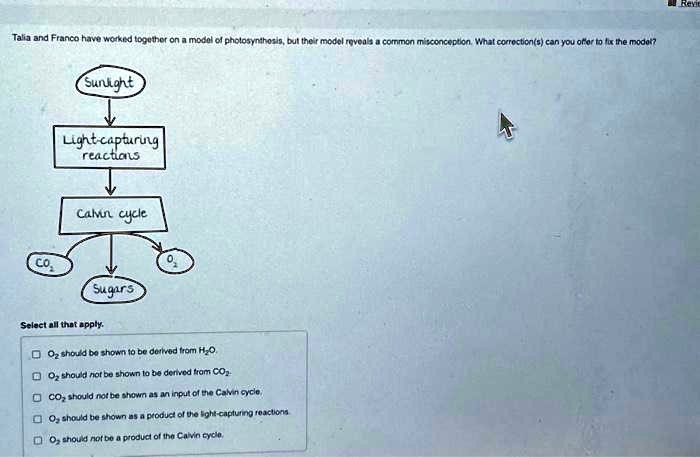 SOLVED: Text: BURey Talia and Franco h Sundight Light-capturing reactions Calvin cycle Sugars ...