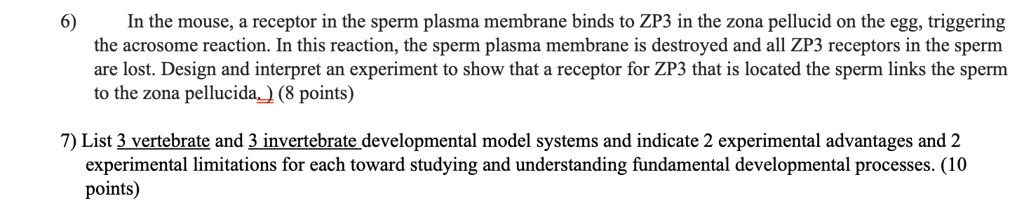 SOLVED: In the mouse, a receptor in the sperm plasma membrane binds to ...