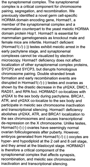 Solved The Synaptonemal Complex The Synaptonemal Complex Is Critical