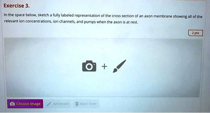 SOLVED: Exercise 3 In the space below; sketch fully labeled ...