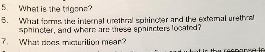 5 what is the trigone 6 what forms the internal urethral sphincter and ...