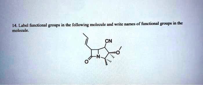 SOLVED: [4. Label functional groups in the following molecule and write ... SOLVED: [4. Label functional groups in the following molecule and write ...