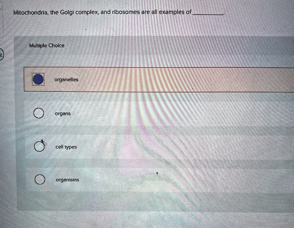 mitochondria the golgi complex and ribosomes are all examples of ...