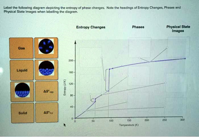 SOLVED: ' Label the following diagram depicting the entropy of phase ...