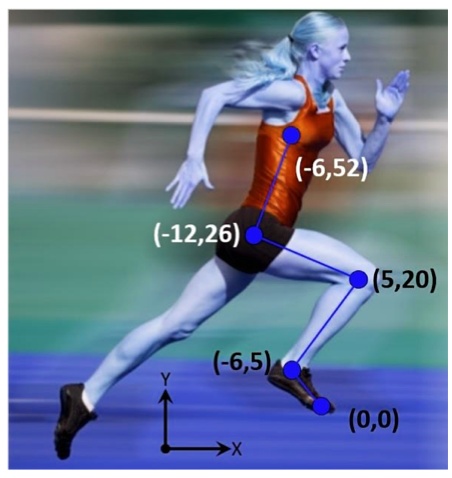 SOLVED: In the image to the right, calculate the runner's: (a) knee ...