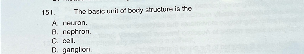 the basic unit of body structure is the a neuron b nephron c cell d ...