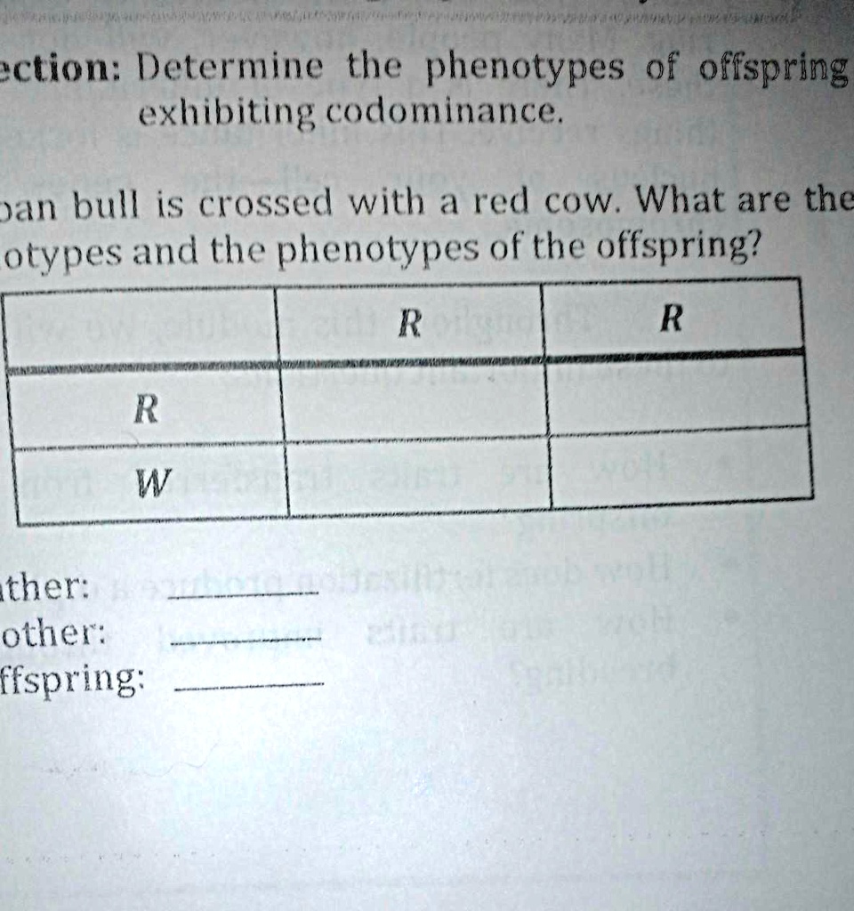 SOLVED: A roan bull is crossed with a red cow. What are the genotype ...