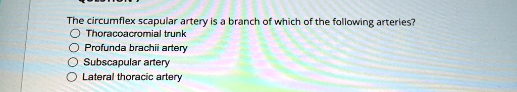 the circumflex scapular artery is a branch of which of the following arteries thoracoacromial ...