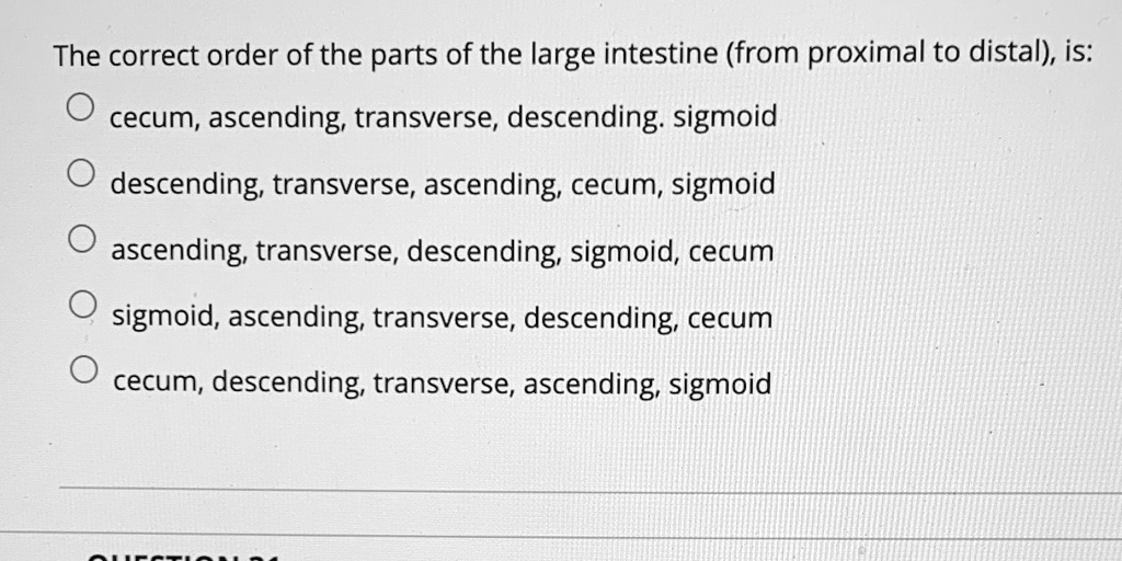 'The correct order of the parts of the large intestine (from proximal ...